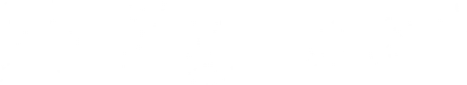 Digeplan: Advanced Digital Plan Review Software